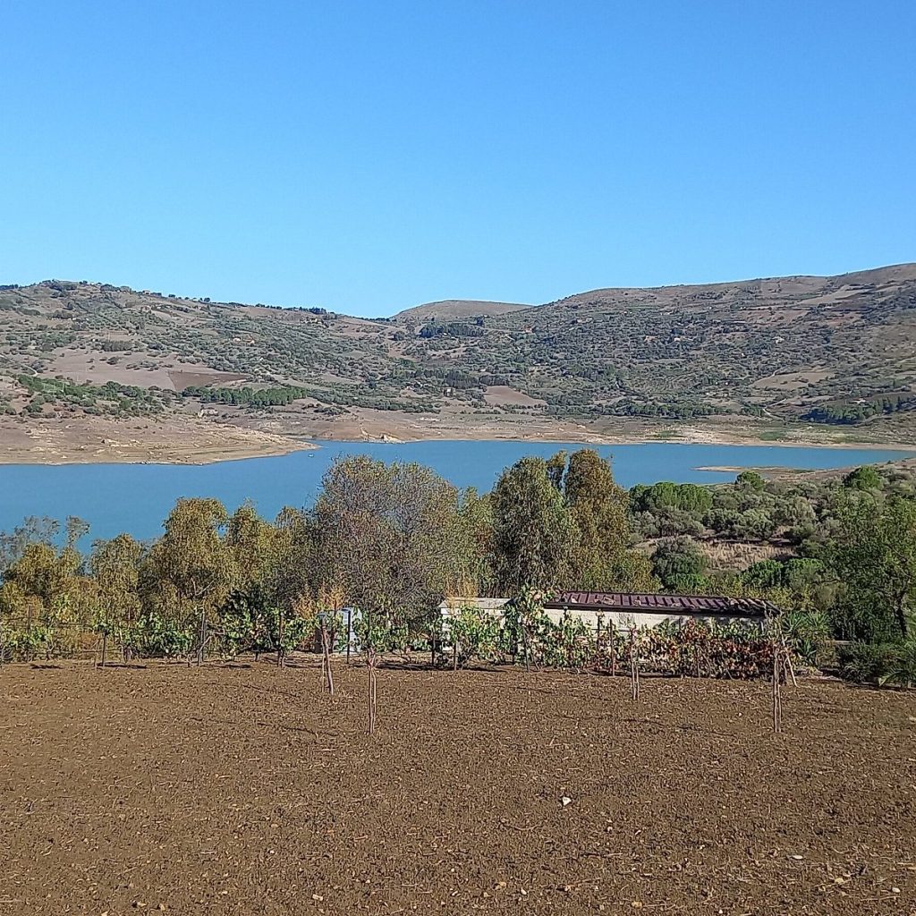 Riserva Naturale Isole dello Stagnone: la più grande laguna della ...